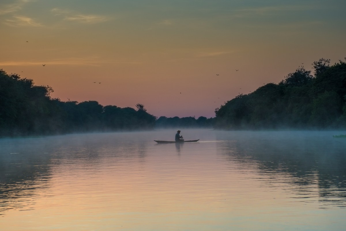 NatGeo | Bacia do Madeira é a mais biodiversa da Amazônia – e uma das ...